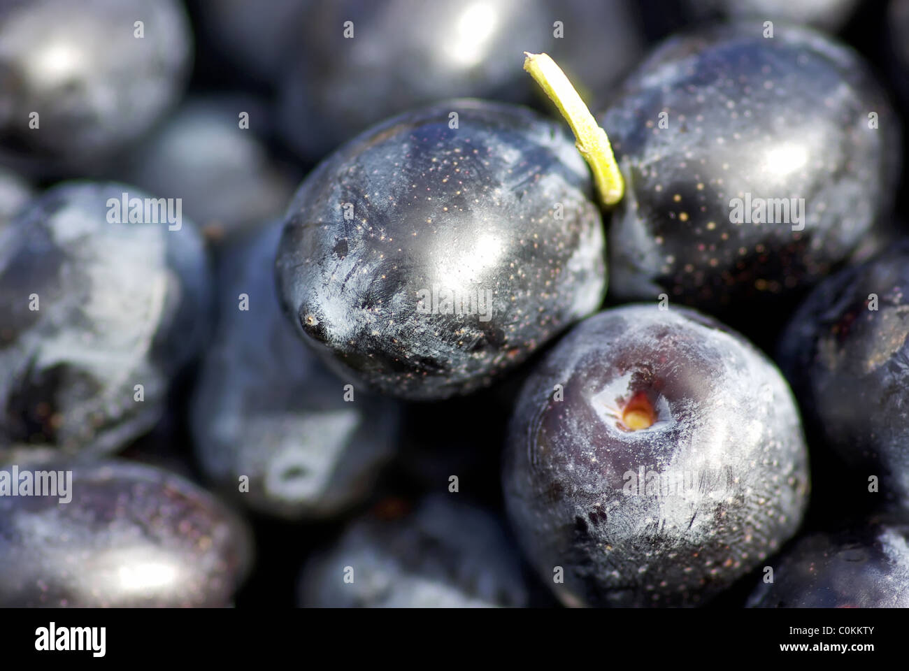 Olive nere immagini e fotografie stock ad alta risoluzione - Alamy
