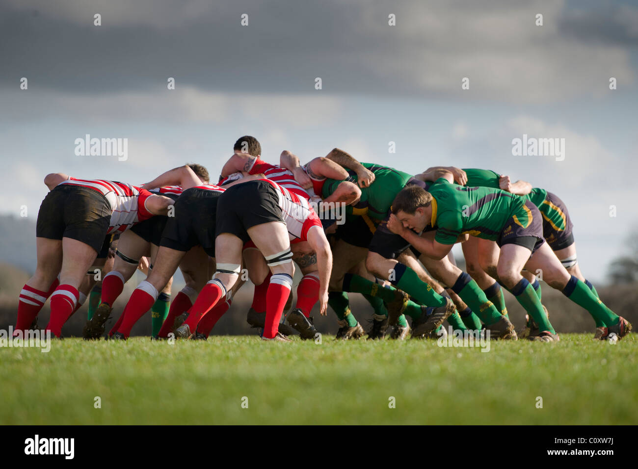 Rugby scrum immagini e fotografie stock ad alta risoluzione - Alamy