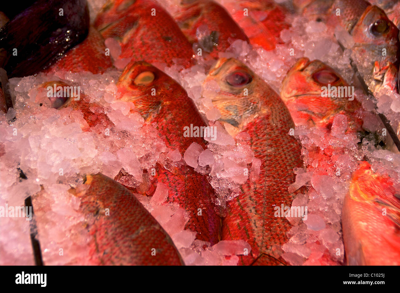 Frutta verdura pesce occhi immagini e fotografie stock ad alta ...