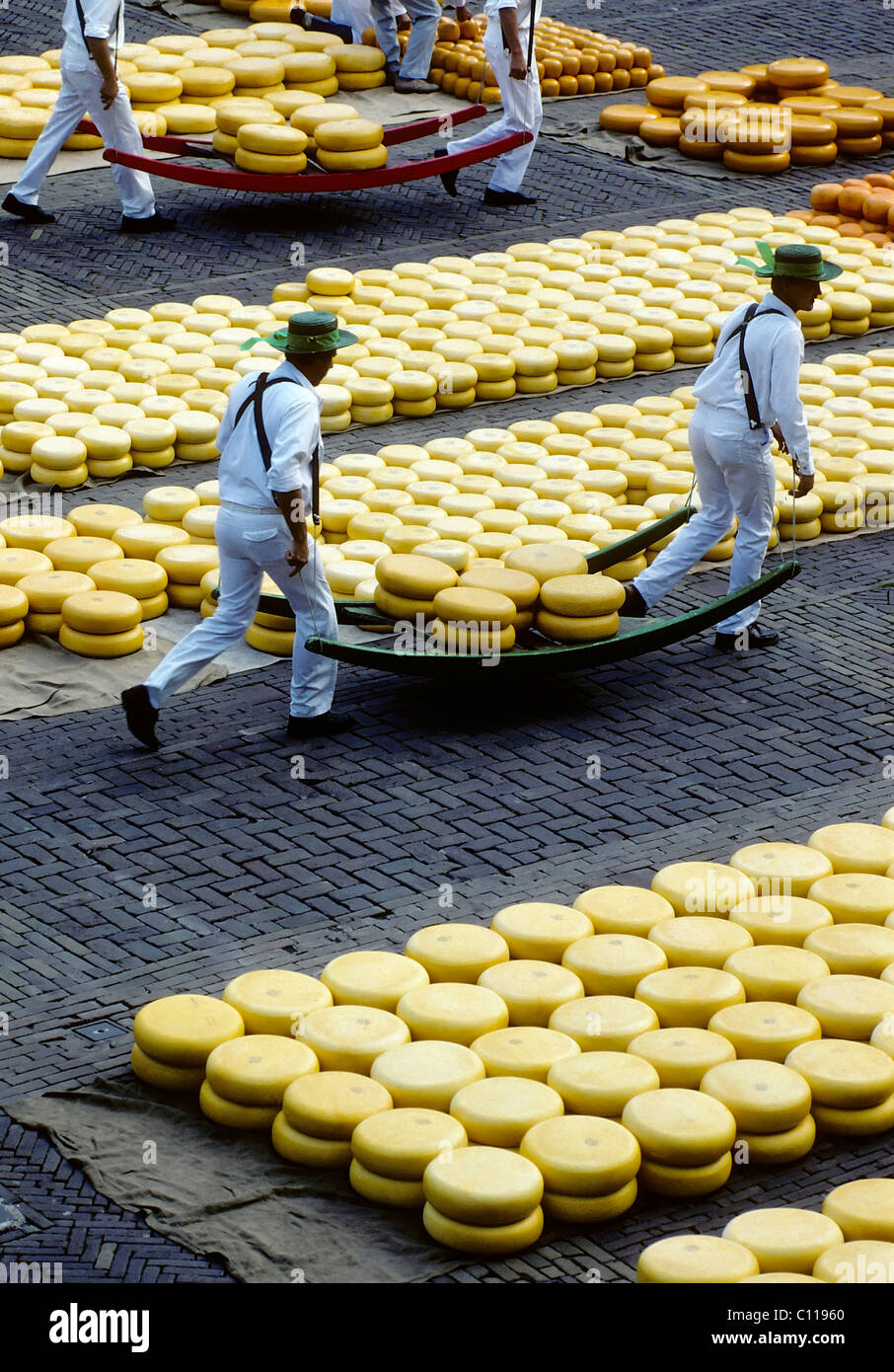 Due uomini che trasportano i formaggi Gouda su una barella al trotto ...