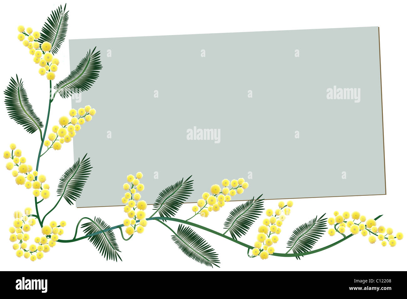 Una cornice decorativa con un mazzetto di mimosa fiore e un biglietto ...