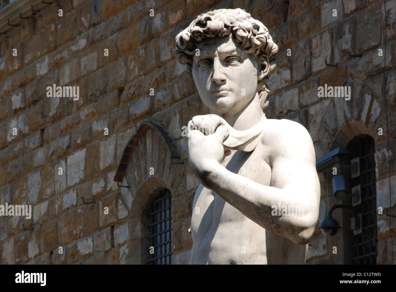 Statua del david di michelangelo spalle immagini e fotografie stock ad ...