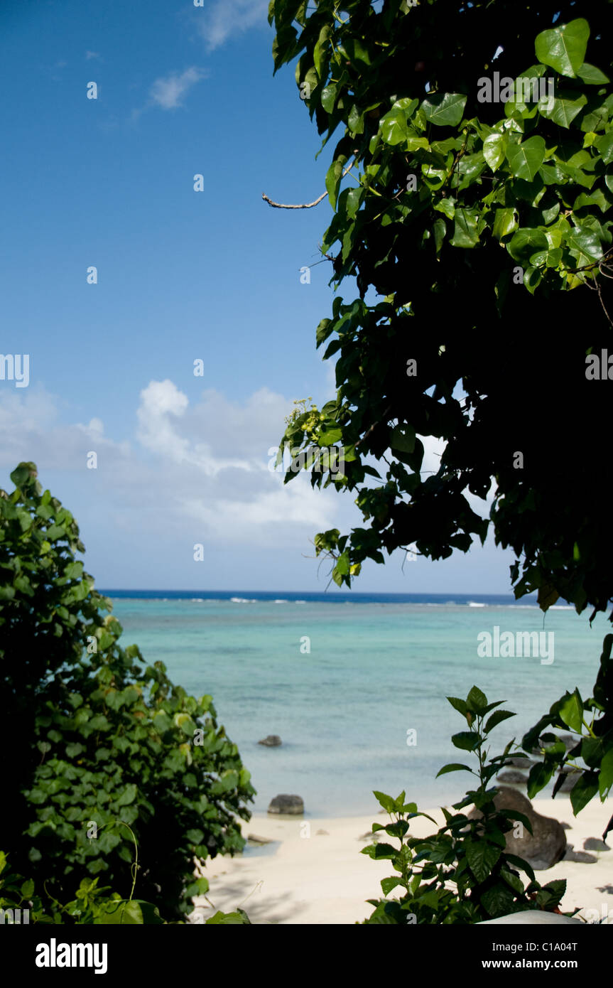 Cook islands tourist resort immagini e fotografie stock ad alta ...