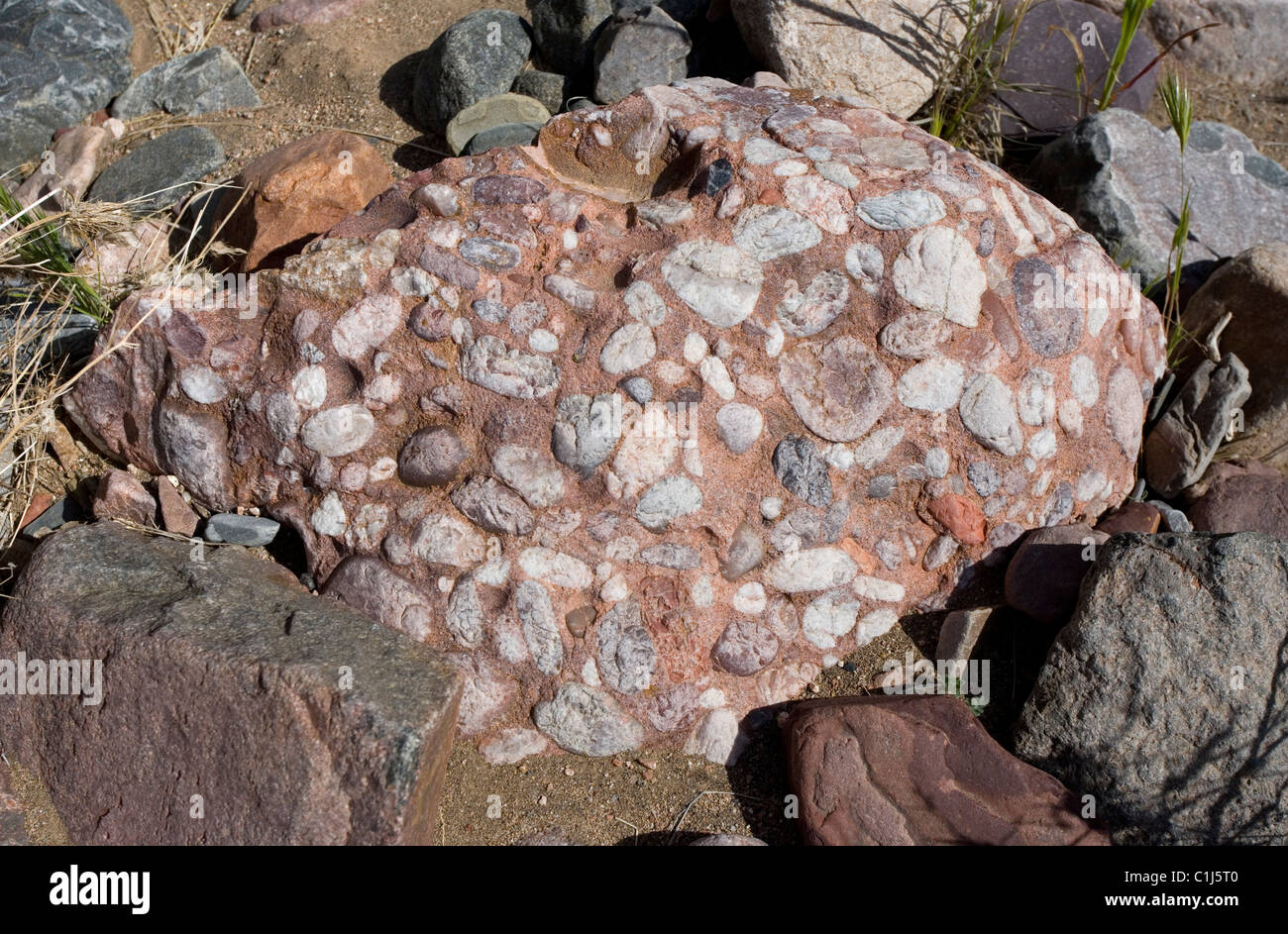 Conglomerate rocks immagini e fotografie stock ad alta risoluzione - Alamy