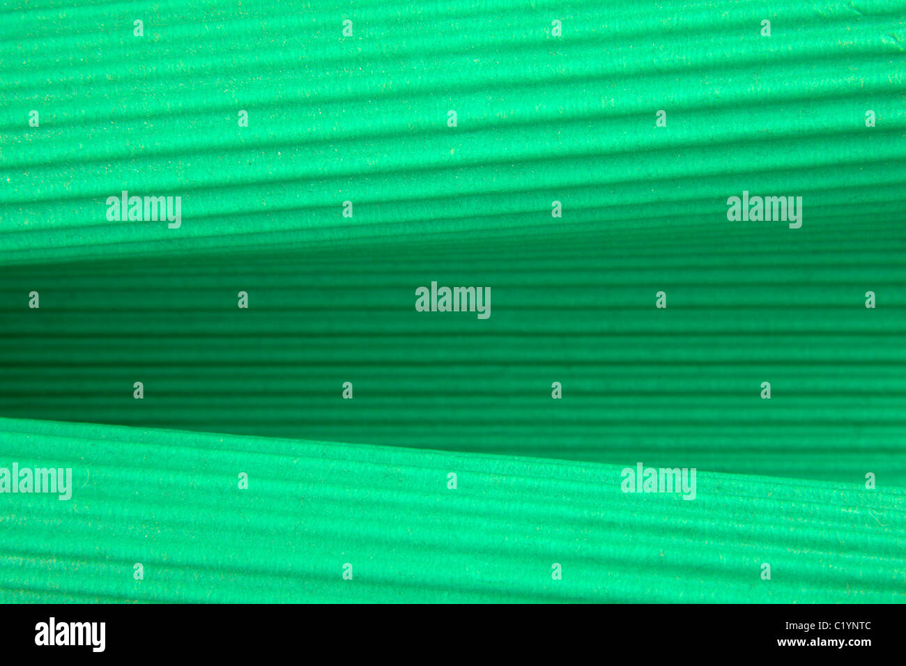 Verde corrugato immagini e fotografie stock ad alta risoluzione - Alamy