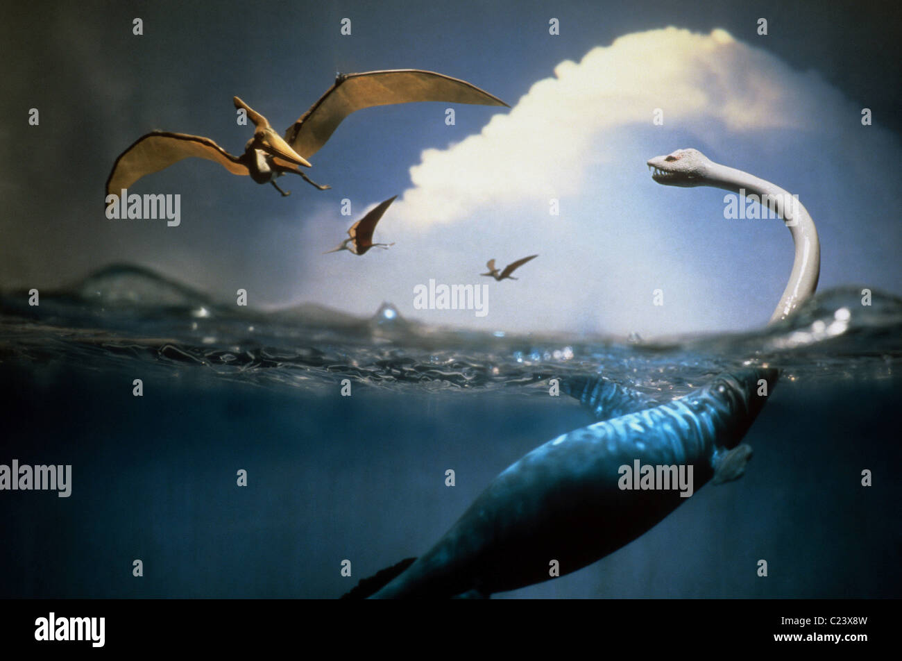 Plesiosauri plesiosauri immagini e fotografie stock ad alta risoluzione ...