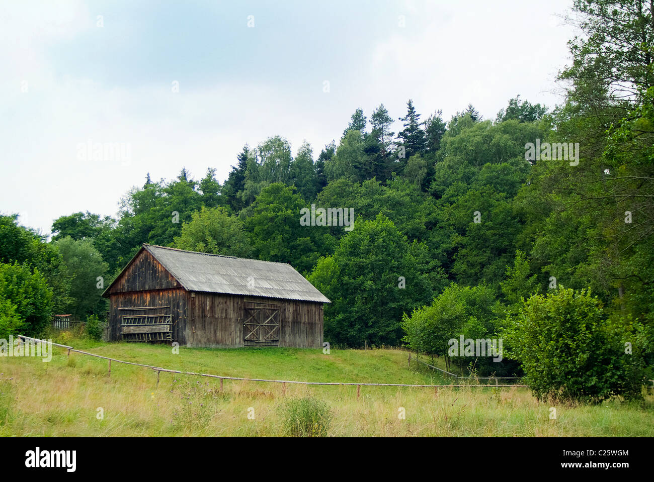 Foreste polacche immagini e fotografie stock ad alta risoluzione - Alamy