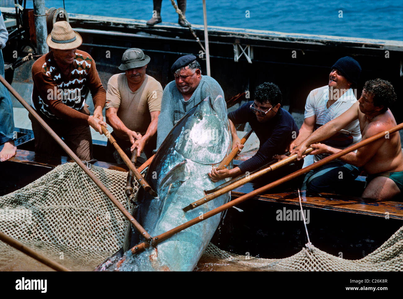 Sicily tuna fishing (mattanza) immagini e fotografie stock ad alta ...