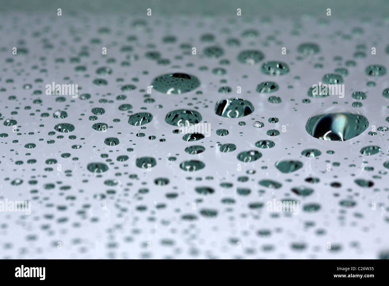 Capillarità acqua immagini e fotografie stock ad alta risoluzione - Alamy