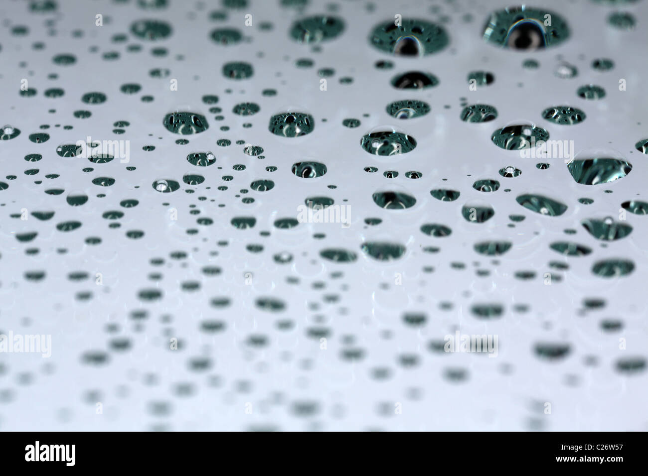 Capillarità acqua immagini e fotografie stock ad alta risoluzione - Alamy