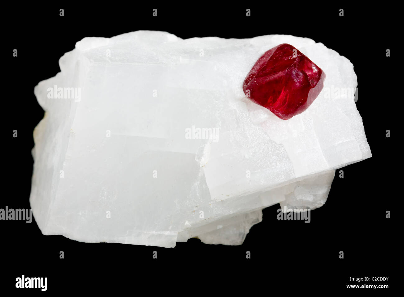 Spinello rosso immagini e fotografie stock ad alta risoluzione - Alamy