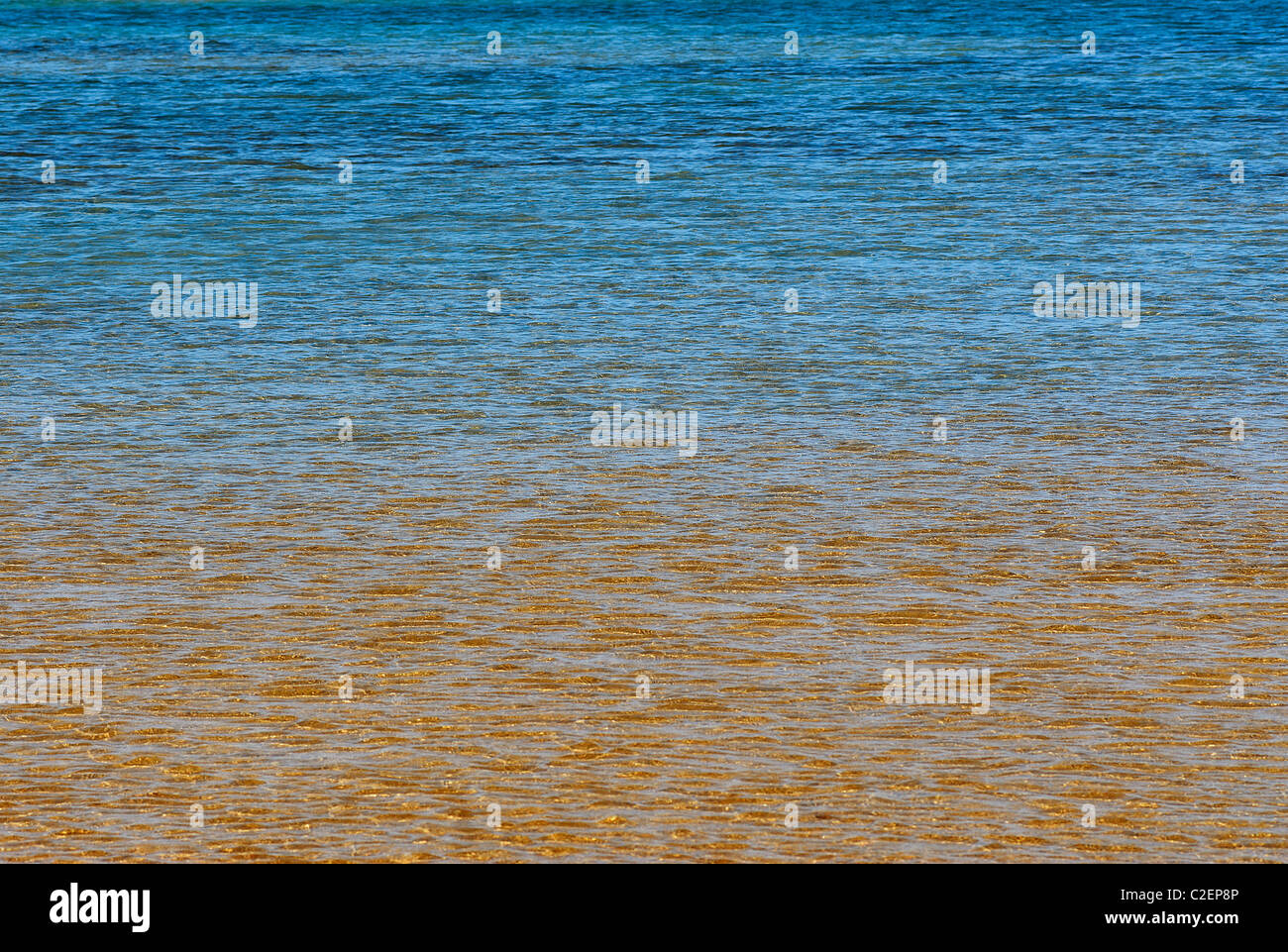 Vacanze in riva al mare immagini e fotografie stock ad alta risoluzione ...