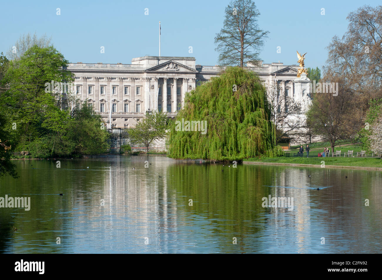 Buckingham palace da St James park Lake. Londra. In Inghilterra Foto stock - Alamy