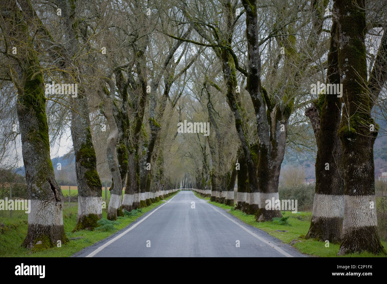 Autostrada portoghese immagini e fotografie stock ad alta risoluzione ...