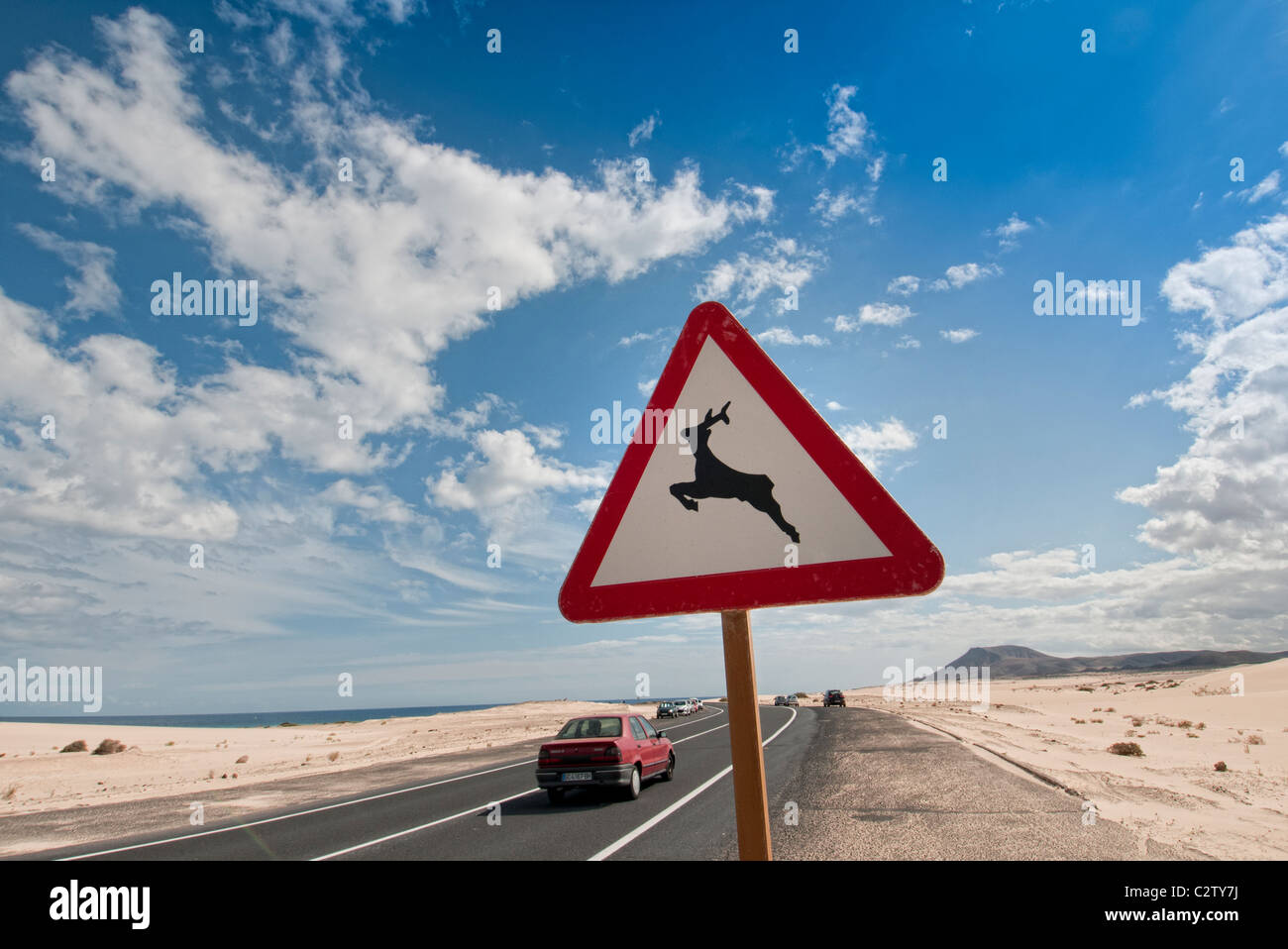 Cartello stradale dei cervi immagini e fotografie stock ad alta ...
