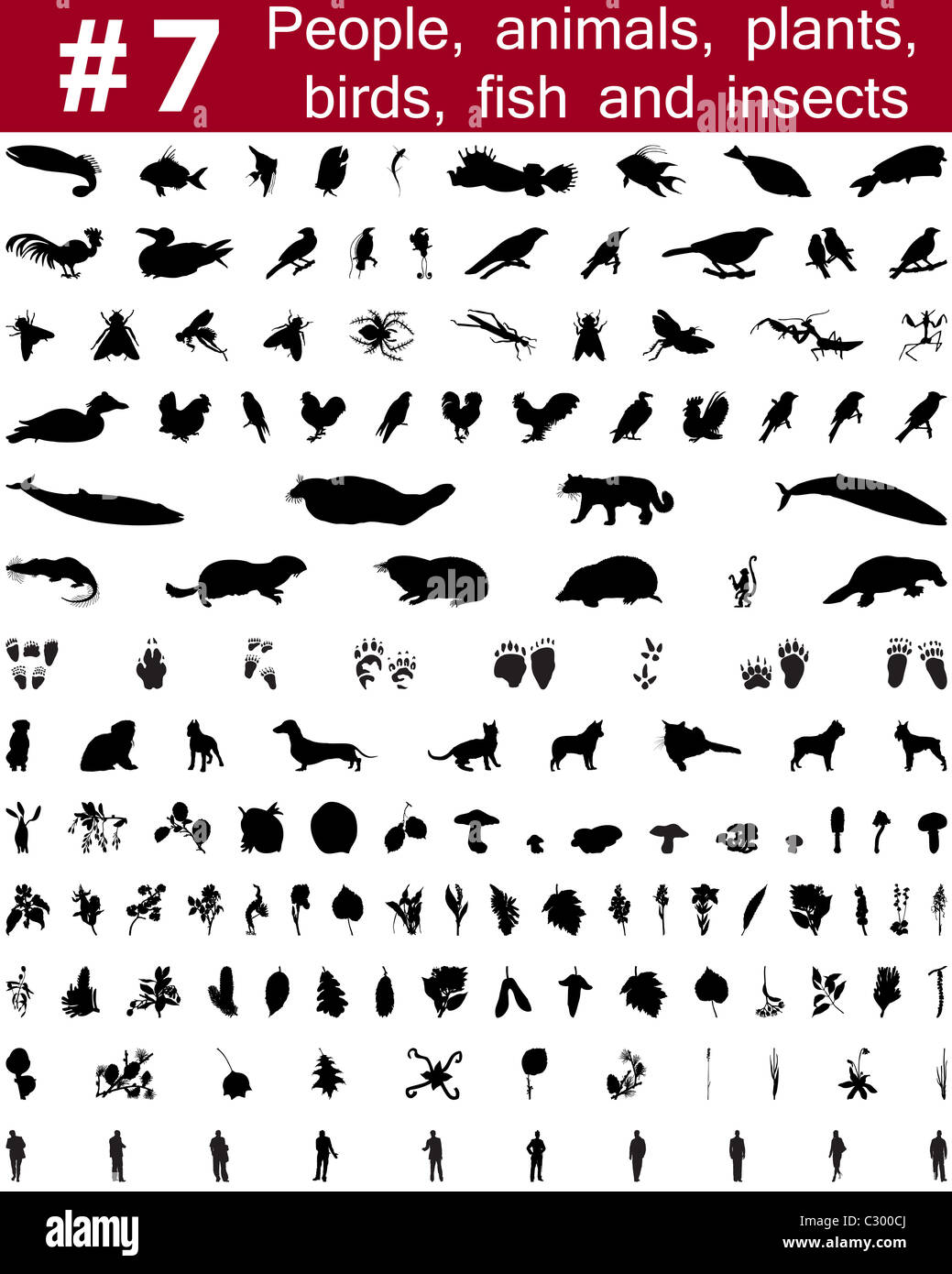 Grande raccolta di collage vettore sagome di persone, animali, uccelli ...