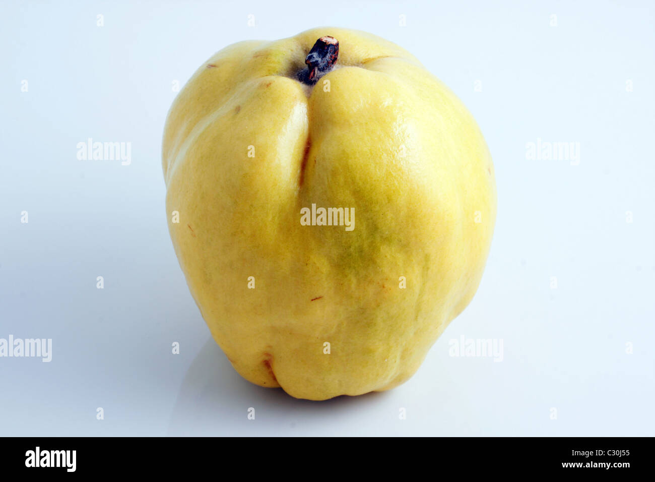 Come mela cotogna immagini e fotografie stock ad alta risoluzione - Alamy