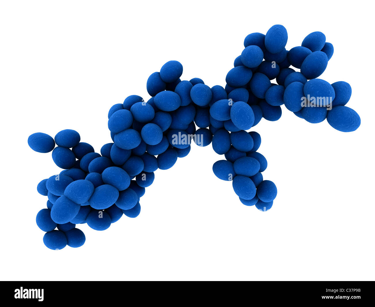 Infezione da stafilococco Immagini senza sfondo e Foto Stock ritagliate ...