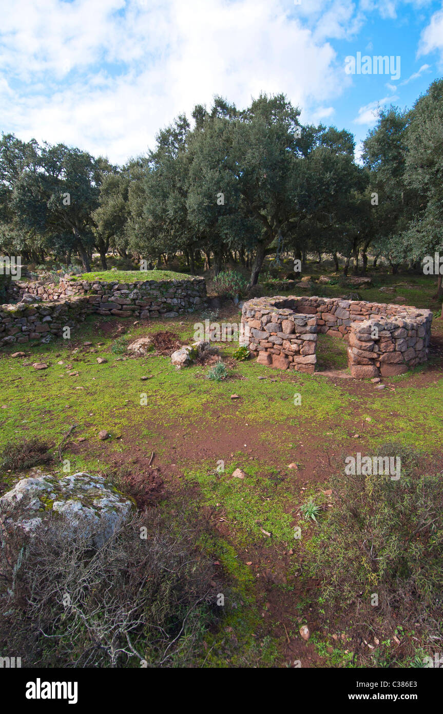 Ovile sardegna immagini e fotografie stock ad alta risoluzione - Alamy