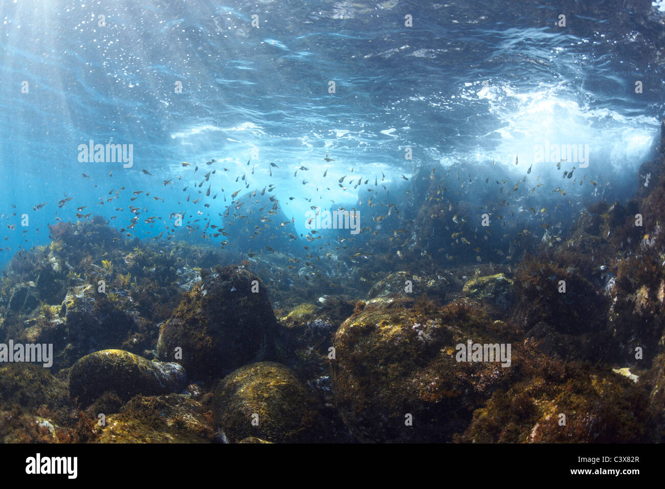 Fenomeni marini immagini e fotografie stock ad alta risoluzione - Alamy