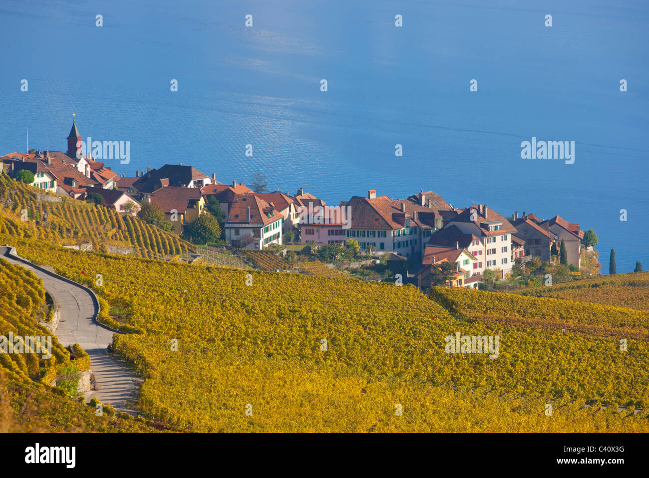 Rivaz, Svizzera, Europa, canton Vaud, Lavaux, area vitivinicola ...