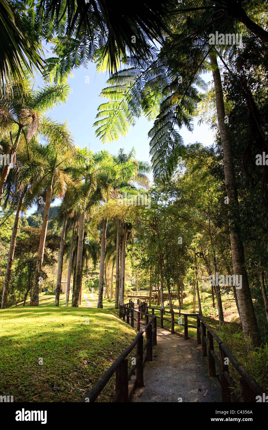 Parque indigena immagini e fotografie stock ad alta risoluzione - Alamy