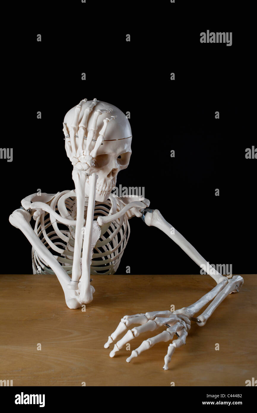 Modello di scheletro umano di uno scheletro immagini e fotografie stock ...