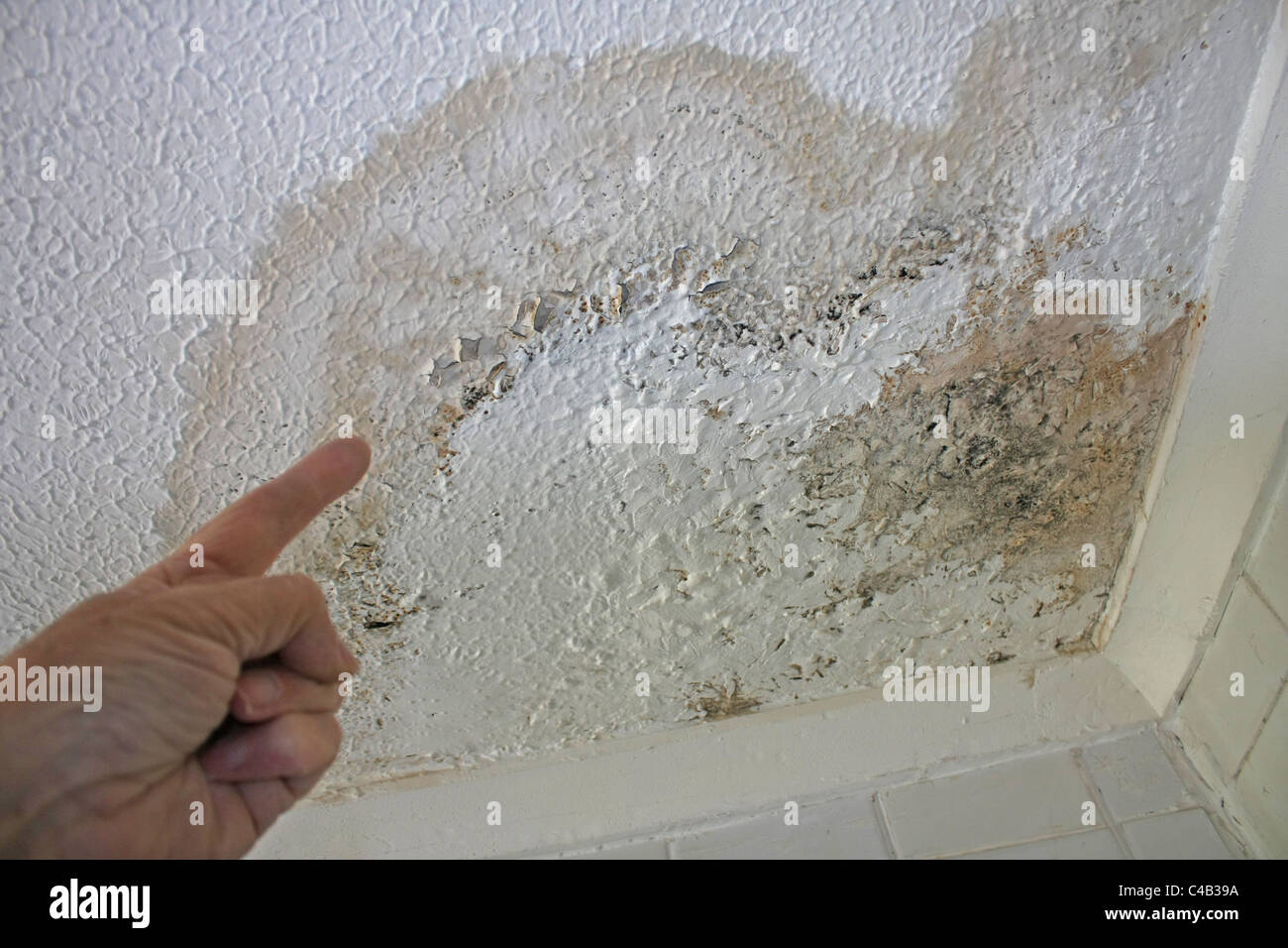 Intonaco umido immagini e fotografie stock ad alta risoluzione - Alamy