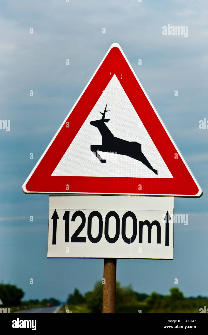 Cartello stradale dei cervi immagini e fotografie stock ad alta ...