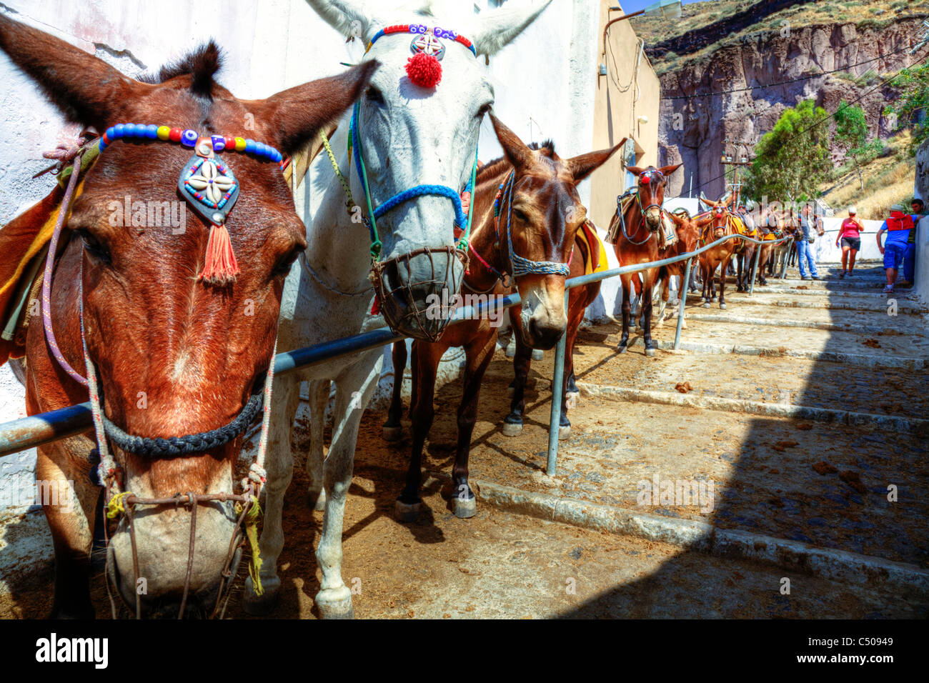 Primo piano dei gradini da percorrere immagini e fotografie stock ad ...