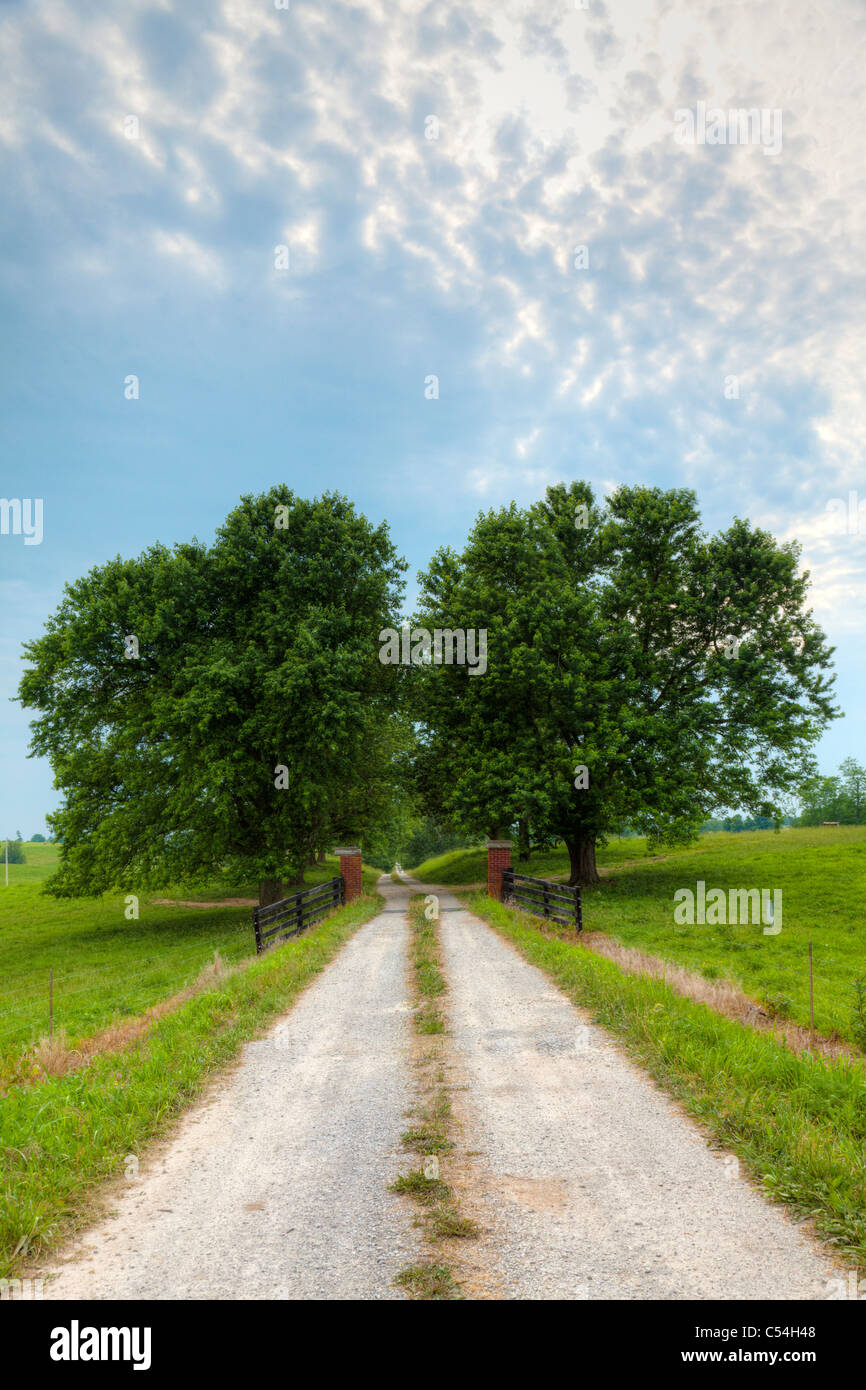 Strada di campagna in mattoni immagini e fotografie stock ad alta ...