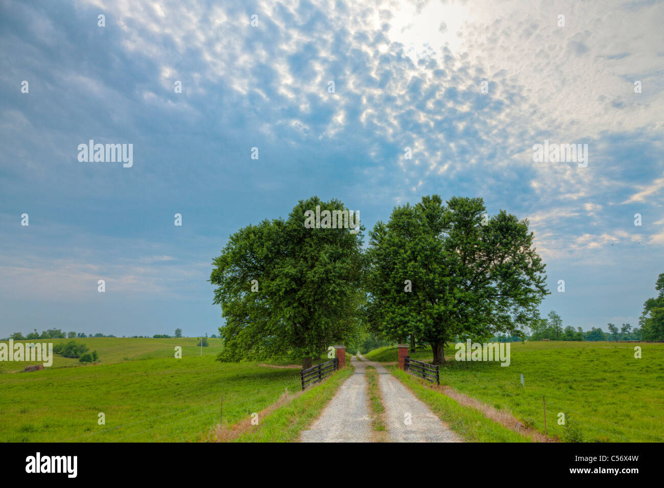 Strada di campagna in mattoni immagini e fotografie stock ad alta ...