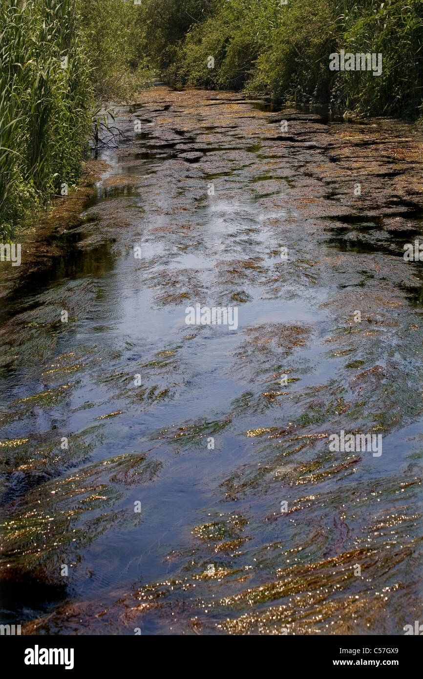 Acheron river immagini e fotografie stock ad alta risoluzione - Alamy