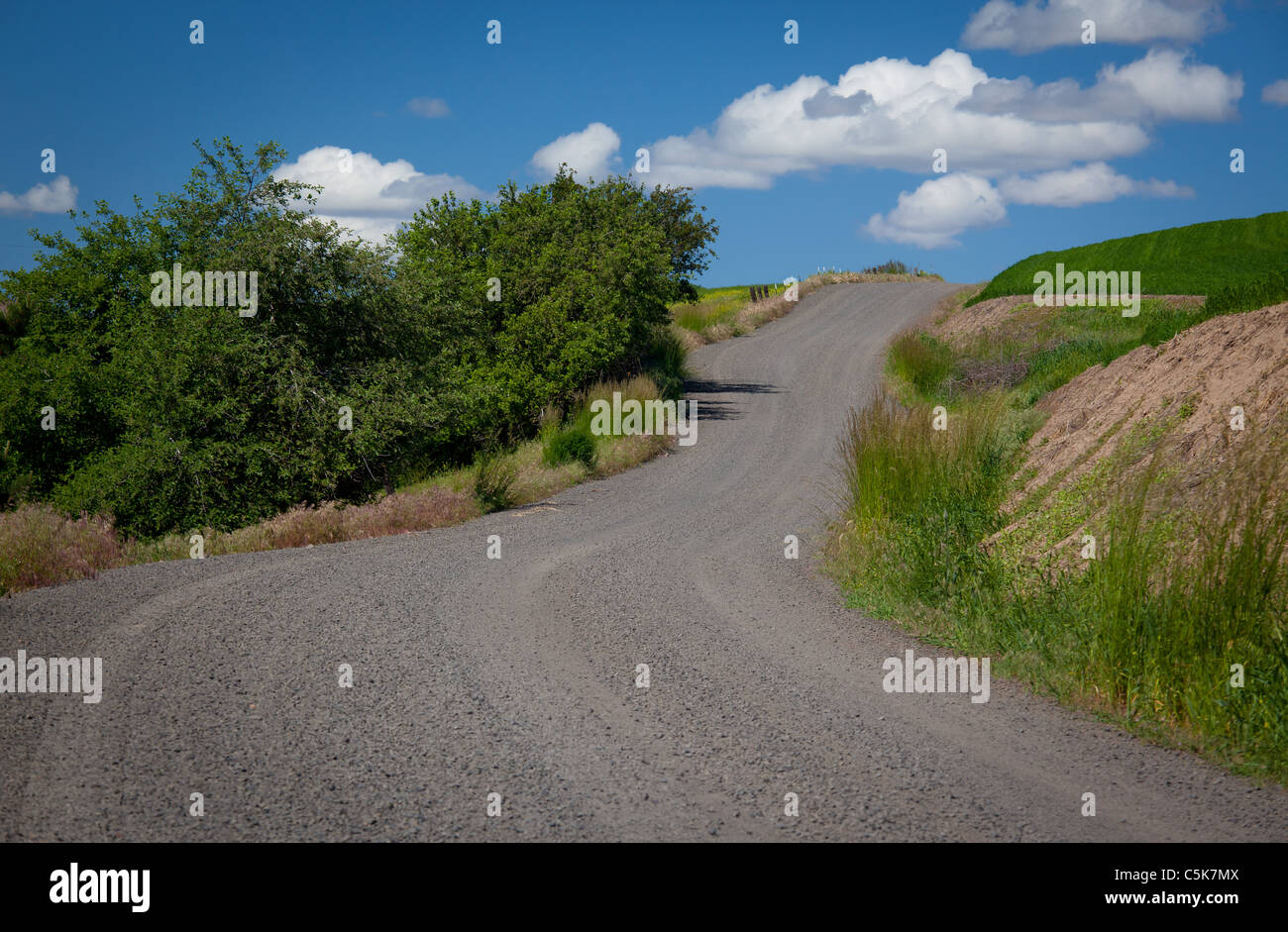 Tortuosa strada sterrata di campagna immagini e fotografie stock ad ...
