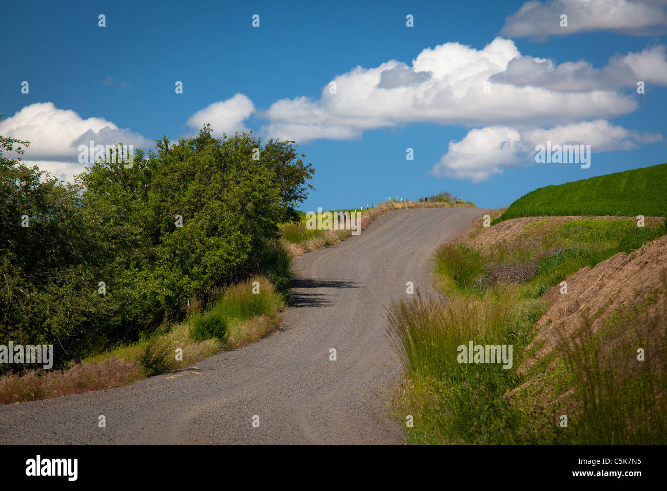 Tortuosa strada sterrata di campagna immagini e fotografie stock ad ...