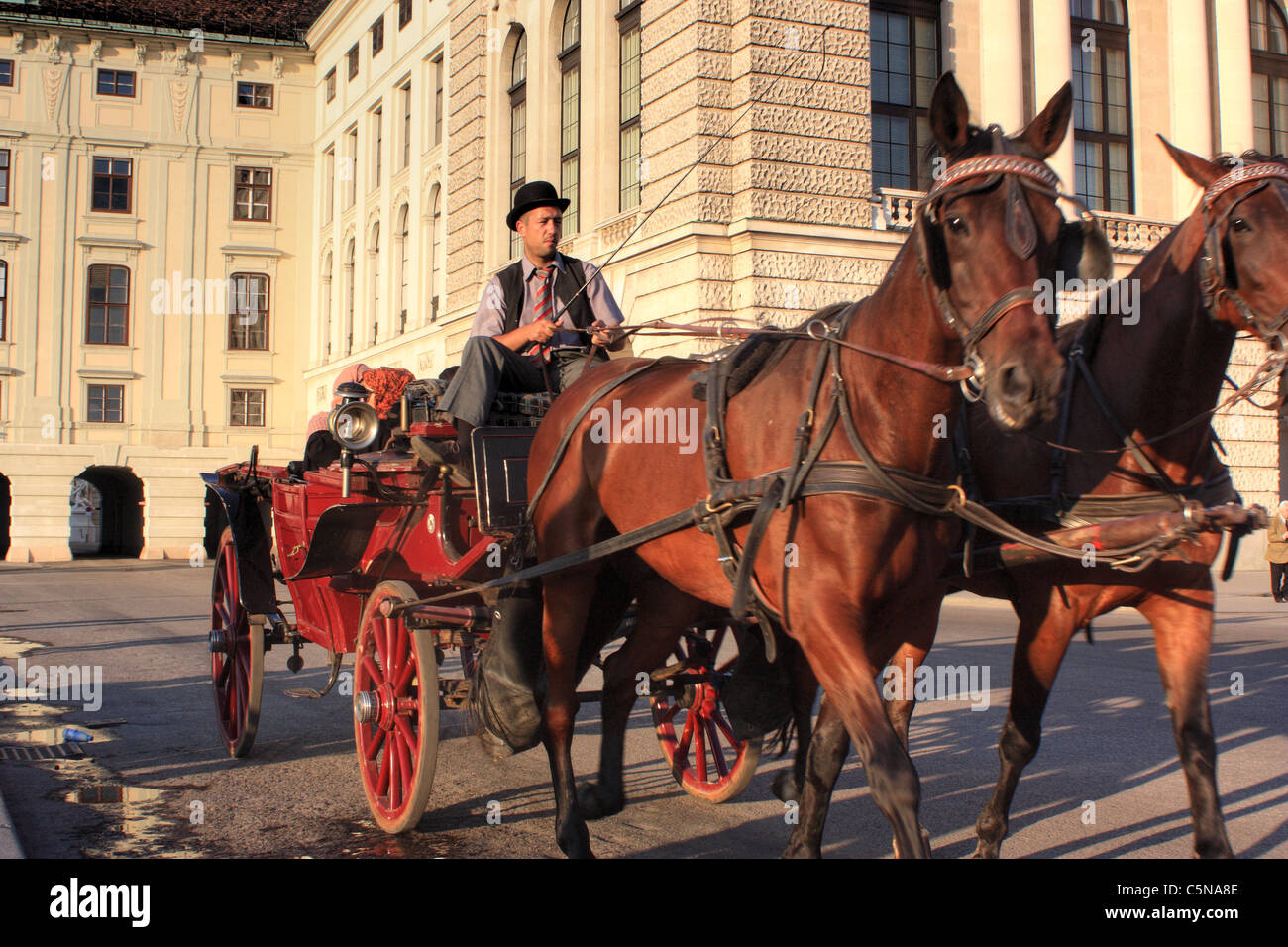 Carrozza a cavallo di vienna immagini e fotografie stock ad alta ...