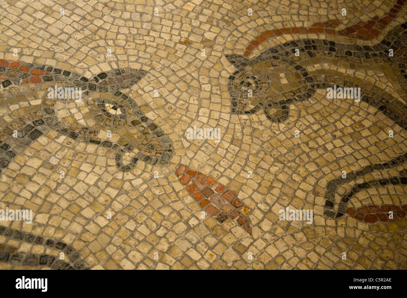 Roman fire pump immagini e fotografie stock ad alta risoluzione - Alamy