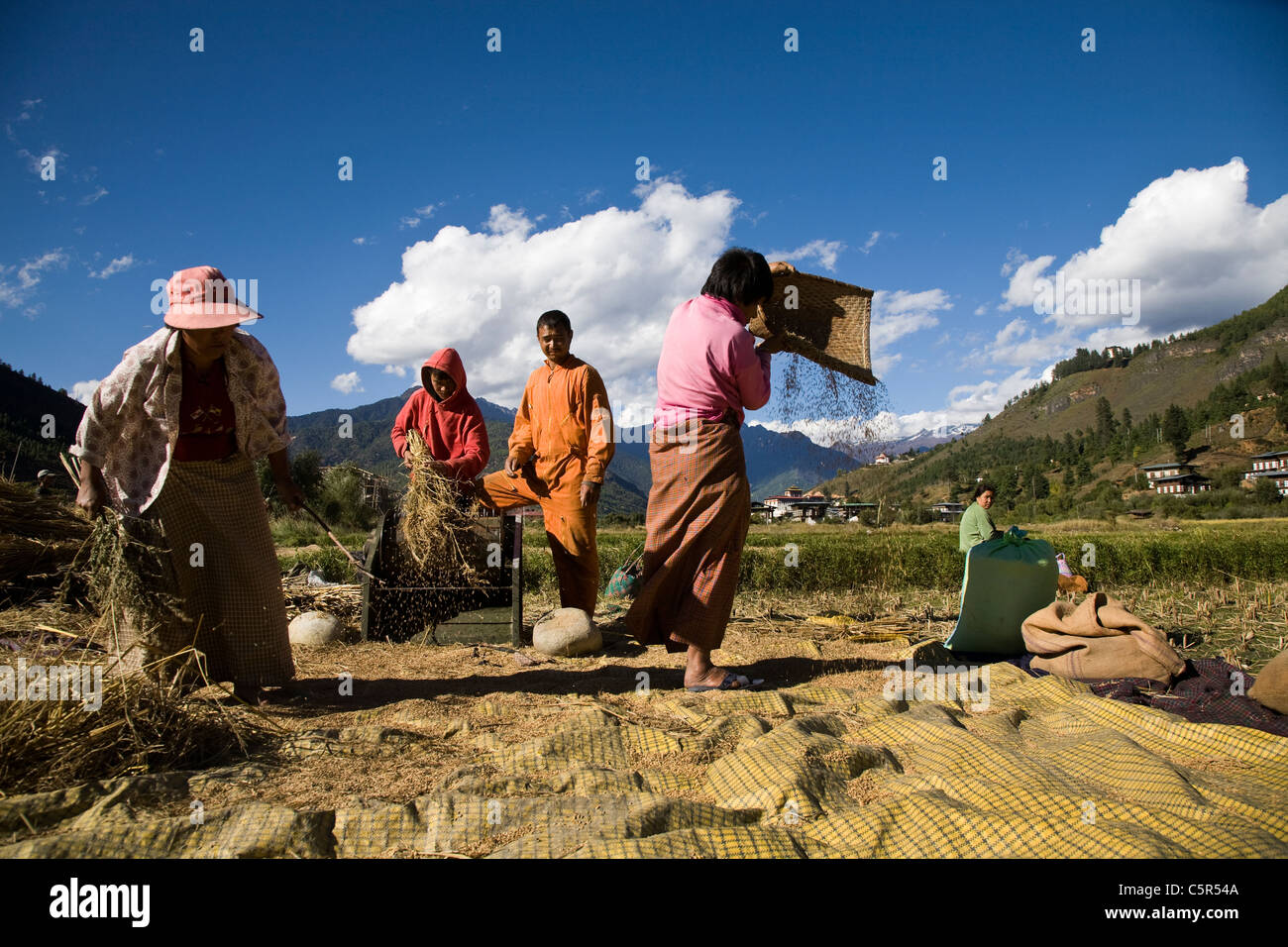 Contadini indaffarati immagini e fotografie stock ad alta risoluzione ...