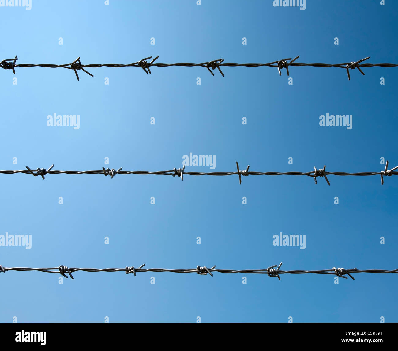 Punta di filo spinato immagini e fotografie stock ad alta risoluzione ...