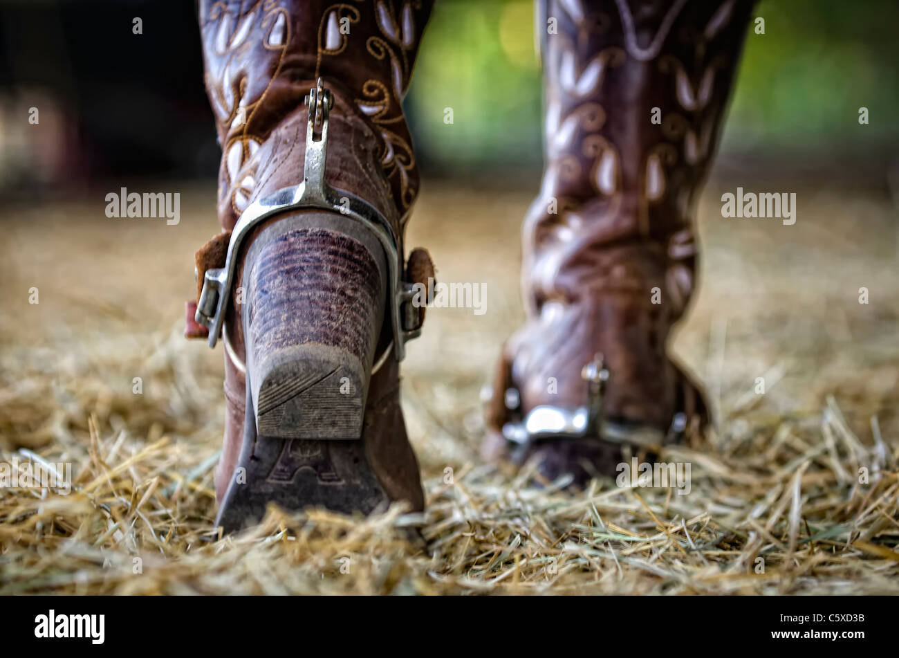 Speroni occidentali immagini e fotografie stock ad alta risoluzione - Alamy