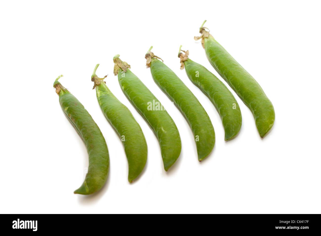 Piselli inglesi o piselli immagini e fotografie stock ad alta ...