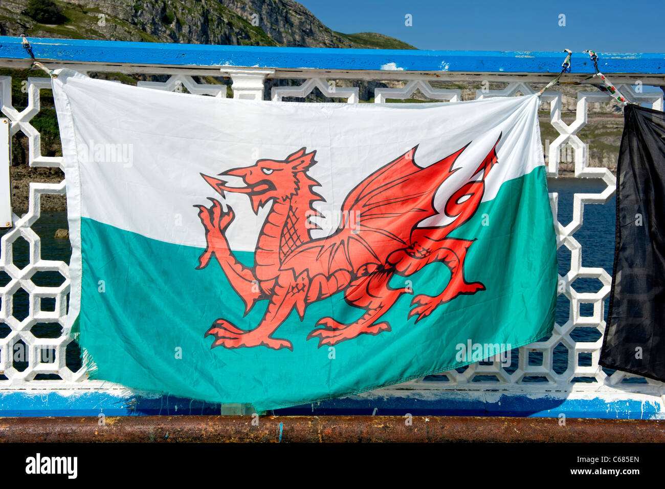 Simboli simbolo del galles immagini e fotografie stock ad alta ...