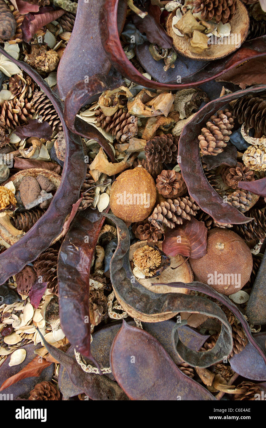 Materia organica immagini e fotografie stock ad alta risoluzione - Alamy