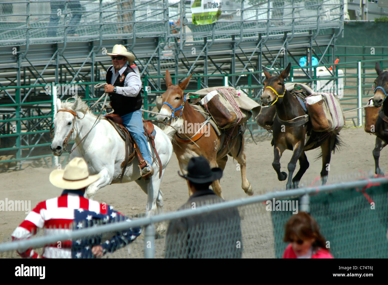Stati Uniti, California, Vescovo 37th mulo Giorni, Pack Team Scramble ...