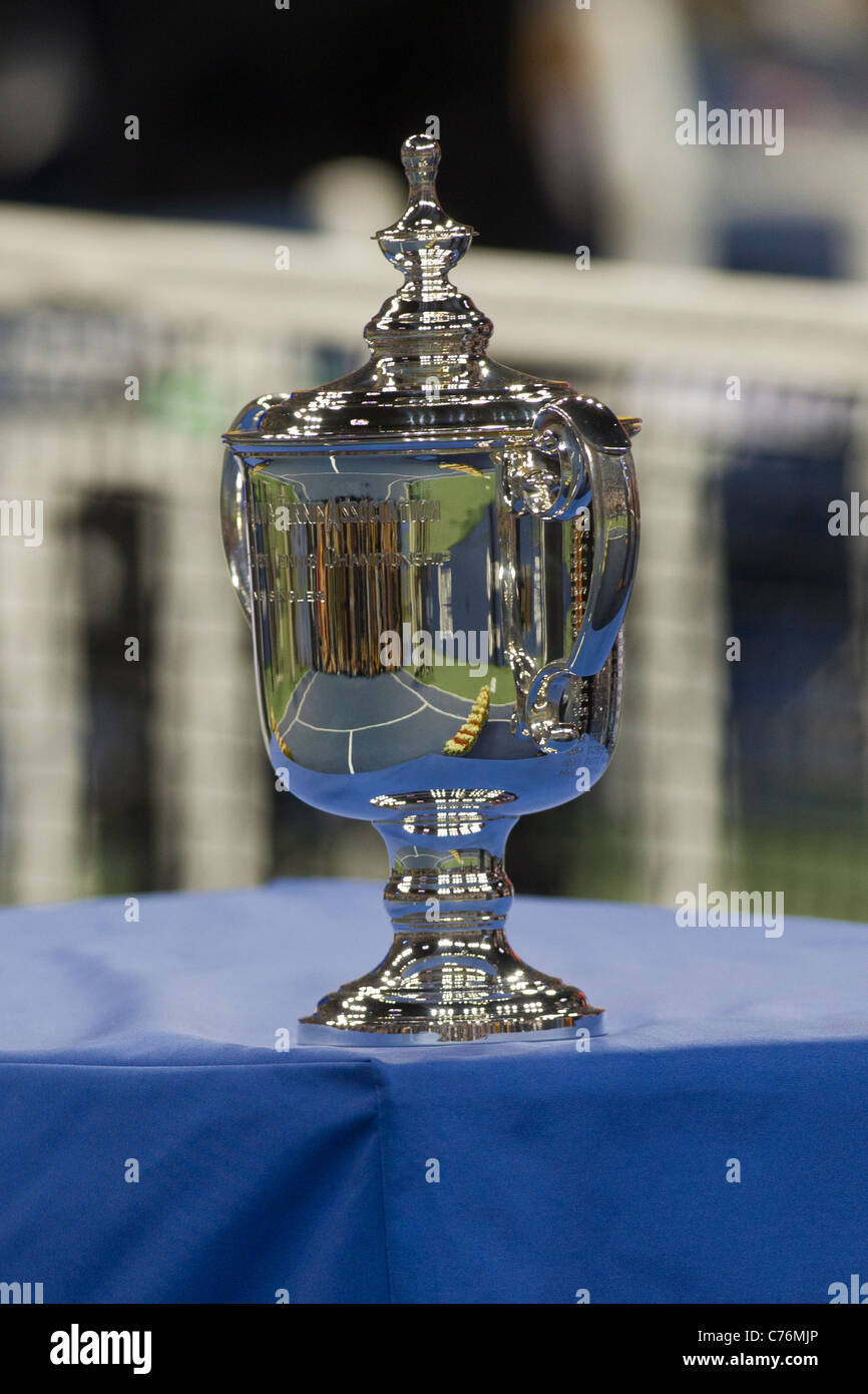 Trofeo del campionato immagini e fotografie stock ad alta risoluzione ...