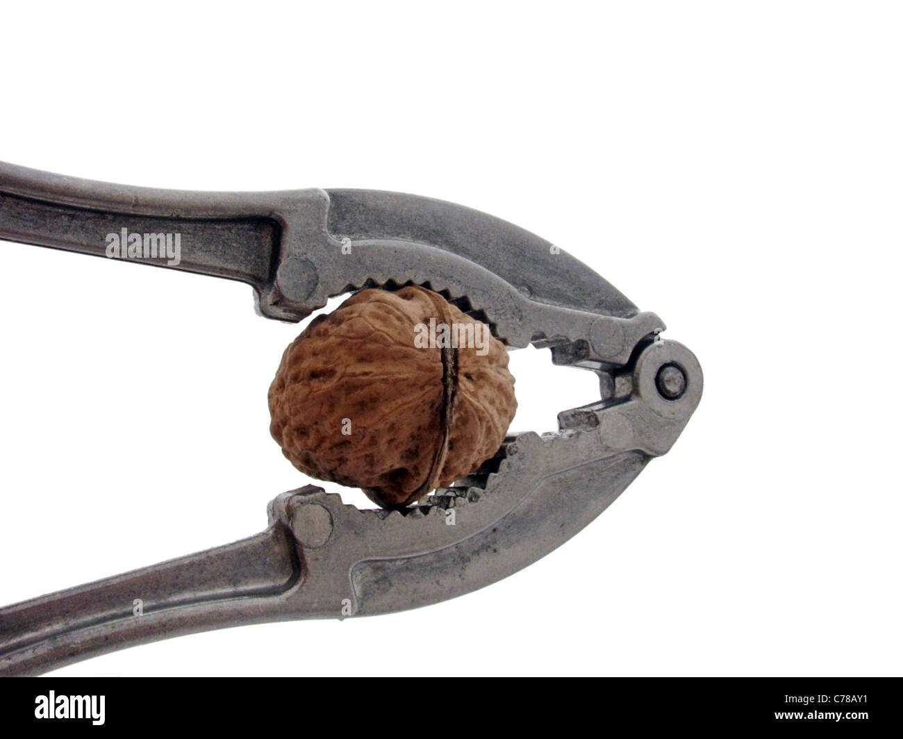 Noce di schiaccianoci immagini e fotografie stock ad alta risoluzione ...