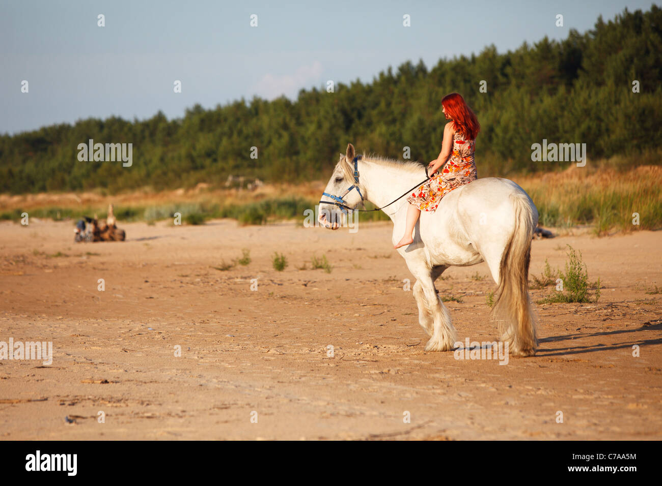 Facendo il bagno al cavallo rosso immagini e fotografie stock ad alta ...