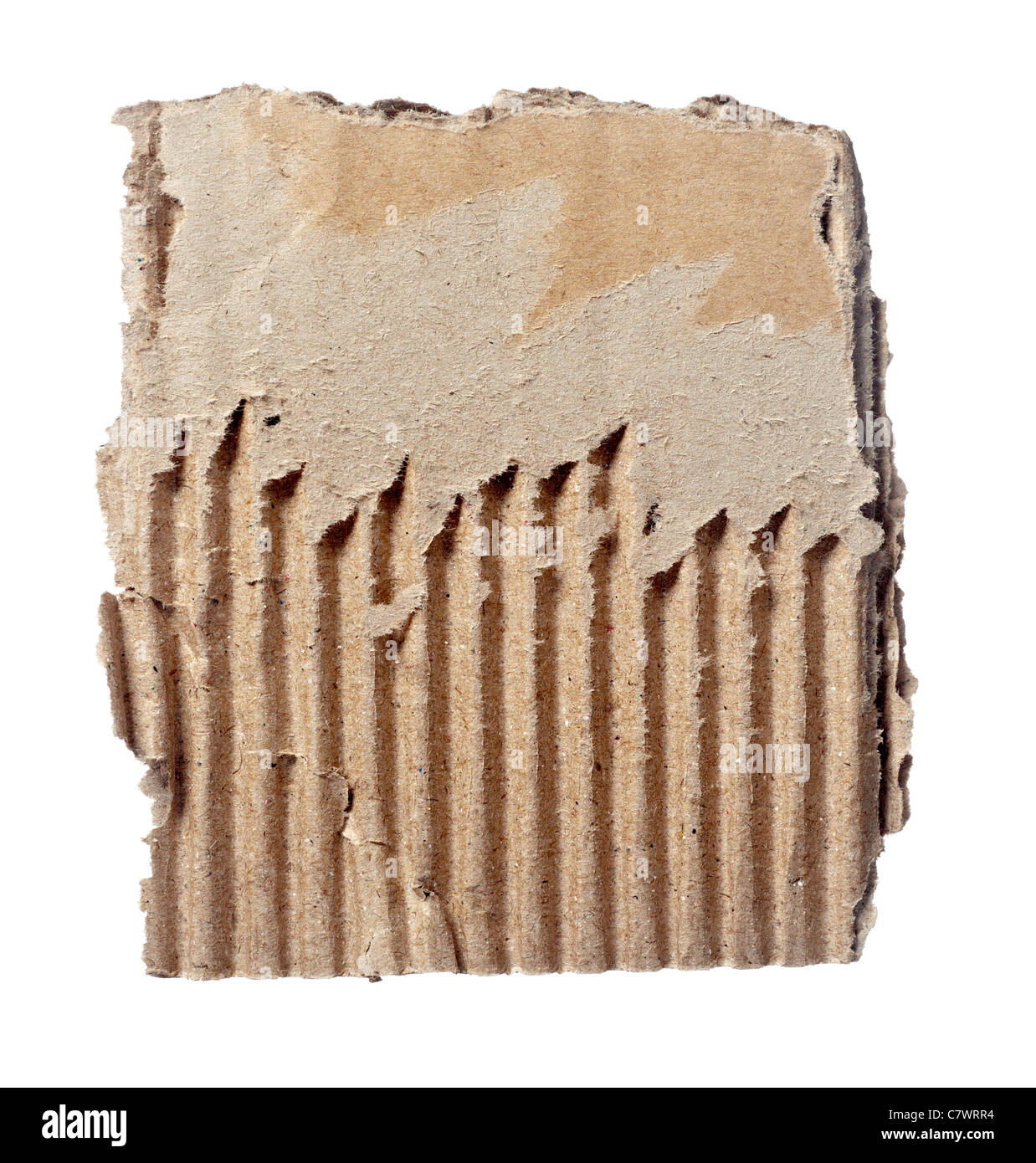 Pezzo di pergamena vuoto immagini e fotografie stock ad alta ...