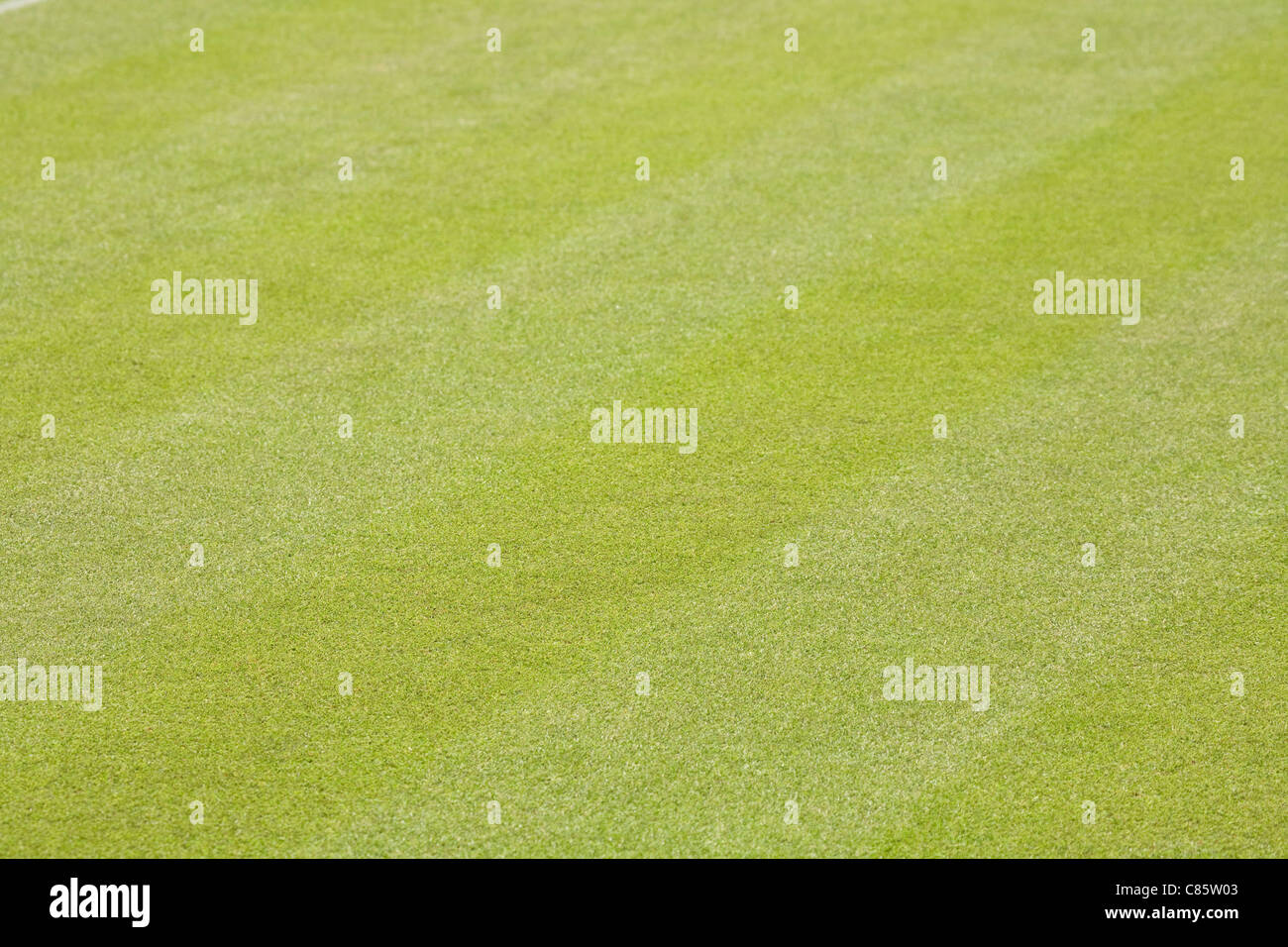 Lawn texture immagini e fotografie stock ad alta risoluzione - Alamy