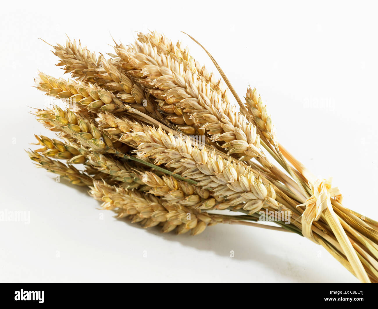 Spighe Di Grano Immagini e Fotos Stock - Alamy